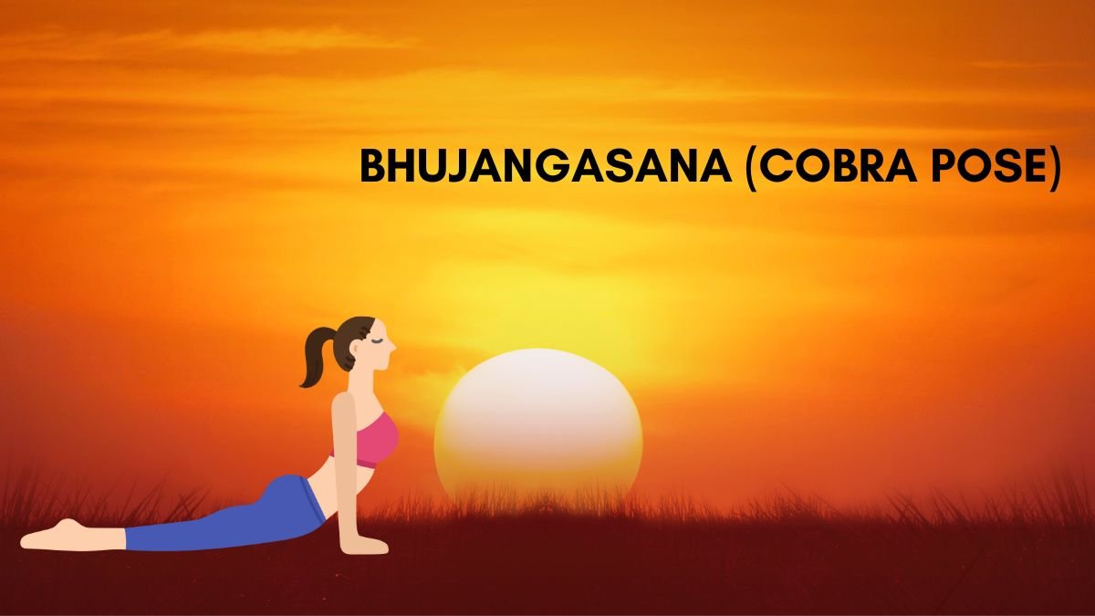 Bhujangasana Cobra Pose - Yoga Positions For Beginners And Complete ...