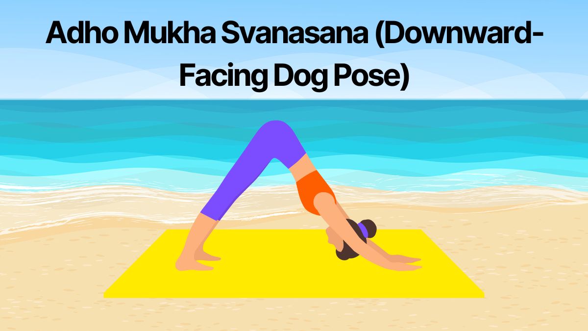 12 Asanas of Surya Namaskar: A Complete Guide to Sun Salutation