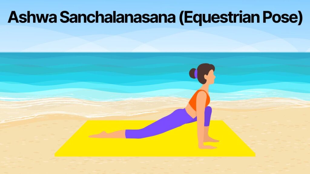 12 Asanas of Surya Namaskar: A Complete Guide to Sun Salutation
