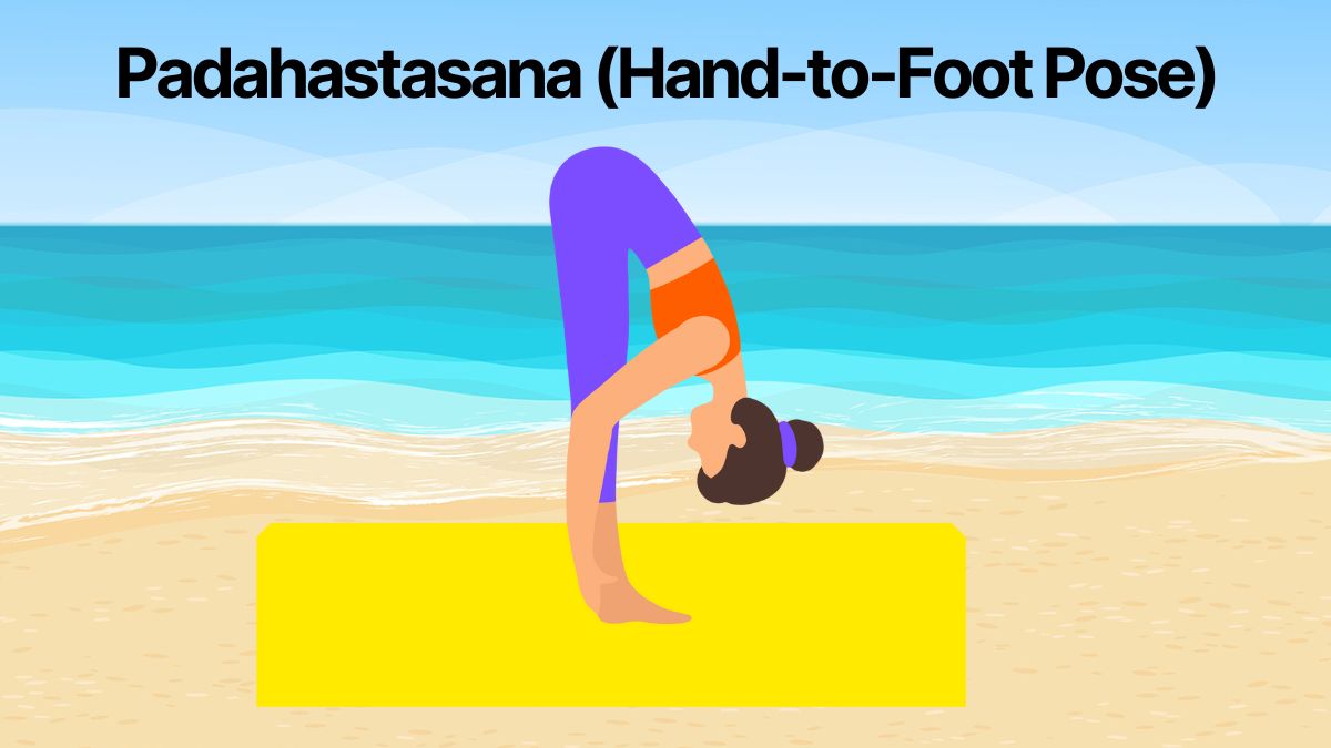 Padahastasana Hand-to-Foot Pose - Yoga Positions For Beginners And ...